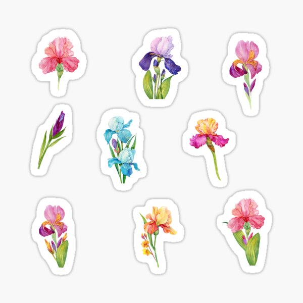 "Beautiful Watercolor Iris Flowers Mix" Sticker for Sale by silviaol ...