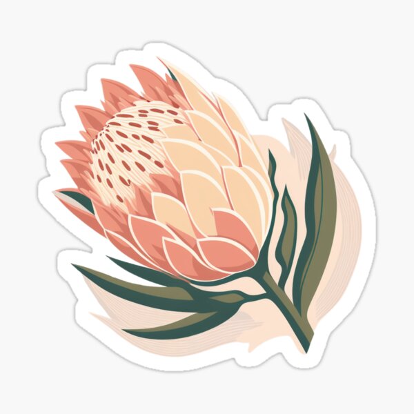 "King Protea peach shades, number 1 spiky plant" Sticker for Sale by ...