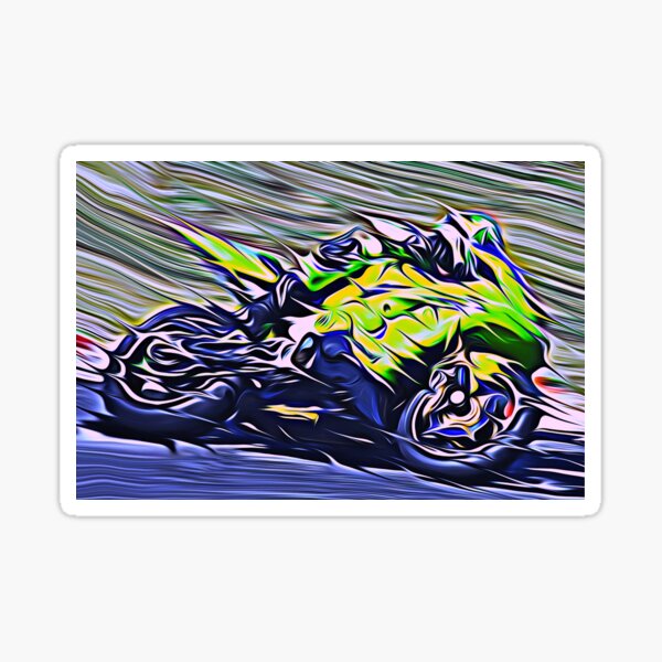 "Full throttle on two wheels VIII" Sticker for Sale by Glineur | Redbubble