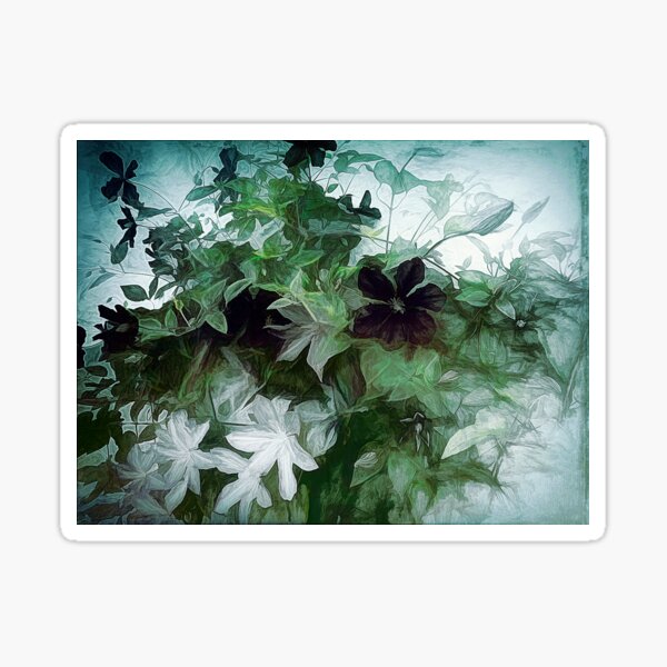 "Clematis On The Vine" Sticker for Sale by LMontgomery | Redbubble