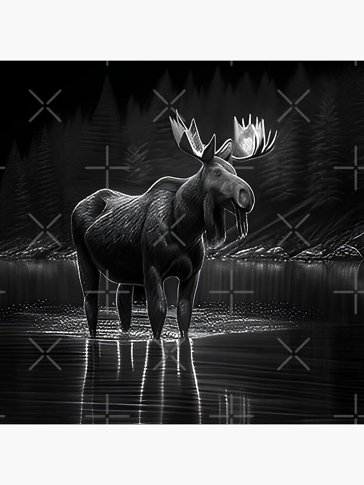 "Moose pencil drawing" Sticker for Sale by Pencil-Art | Redbubble