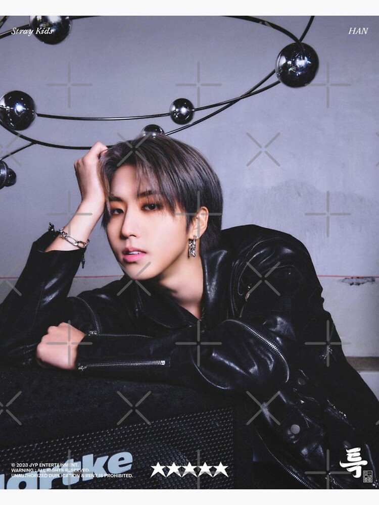 "Han Jisung Stray Kids 5STAR SKZ 스트레이 키즈 3RACHA ot8 members poster ...