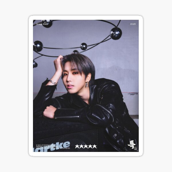 "Han Jisung Stray Kids 5STAR SKZ 스트레이 키즈 3RACHA ot8 members poster ...