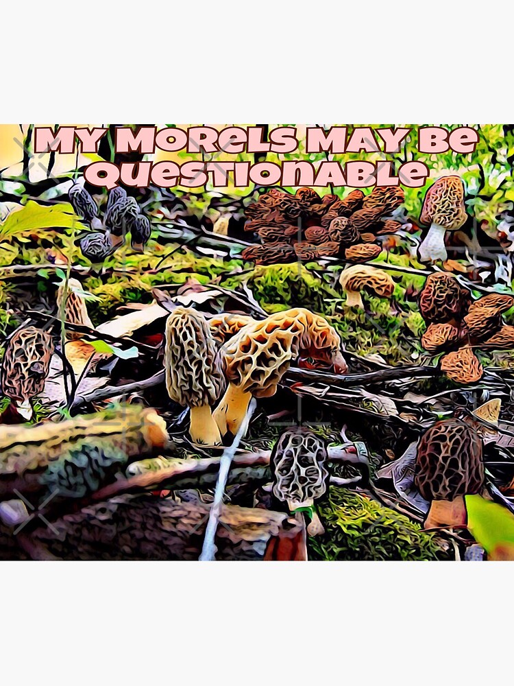 "Questionable Morels" Sticker for Sale by natnat7w | Redbubble