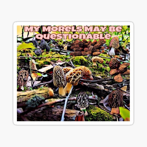 "Questionable Morels" Sticker for Sale by natnat7w | Redbubble