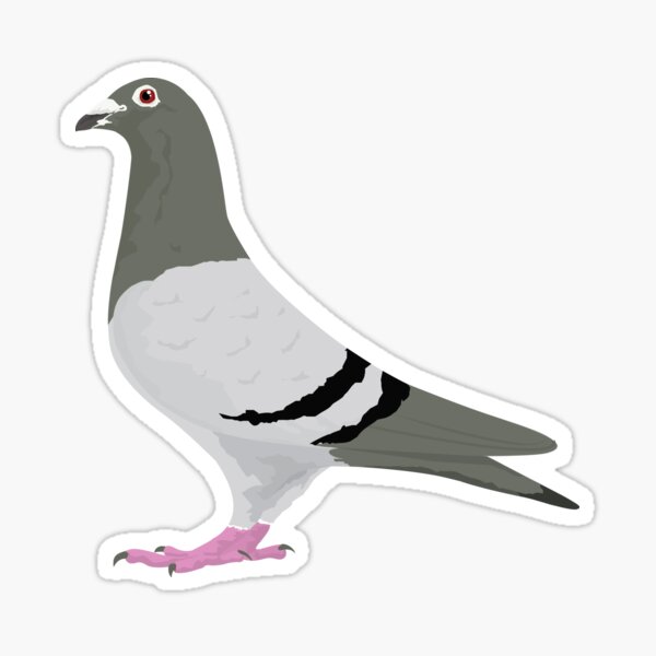 Digital Pigeon Design Shop | Redbubble