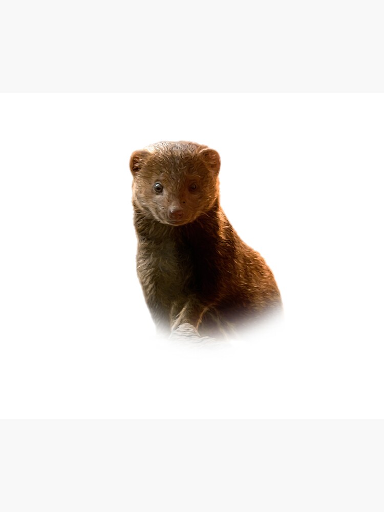 "Mongoose" Sticker for Sale by Guardi71 | Redbubble