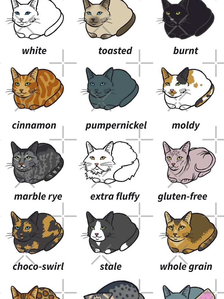 "The Types of Cat Loaf" iPhone Case for Sale by usclaireforce | Redbubble