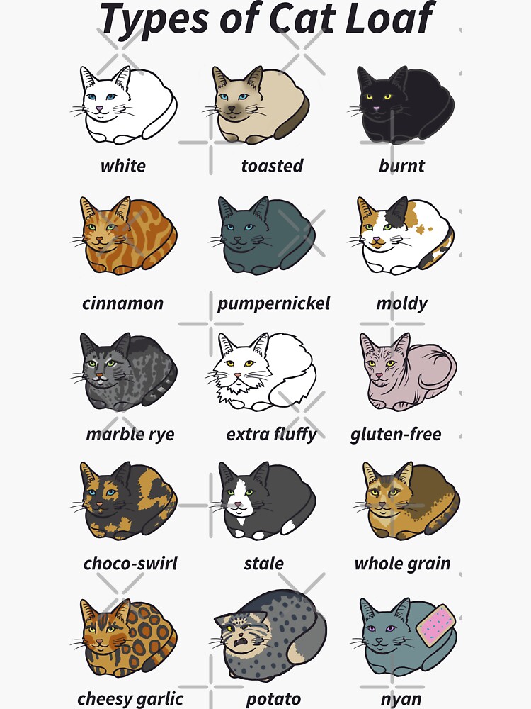 "The Types of Cat Loaf" Sticker for Sale by usclaireforce | Redbubble