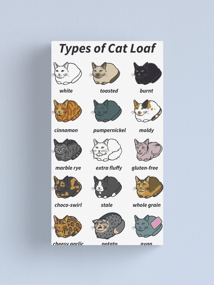 "The Types of Cat Loaf" Canvas Print for Sale by usclaireforce | Redbubble