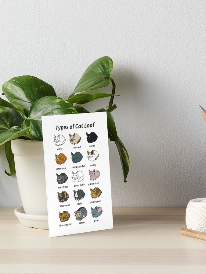 "The Types of Cat Loaf" Art Board Print for Sale by usclaireforce ...
