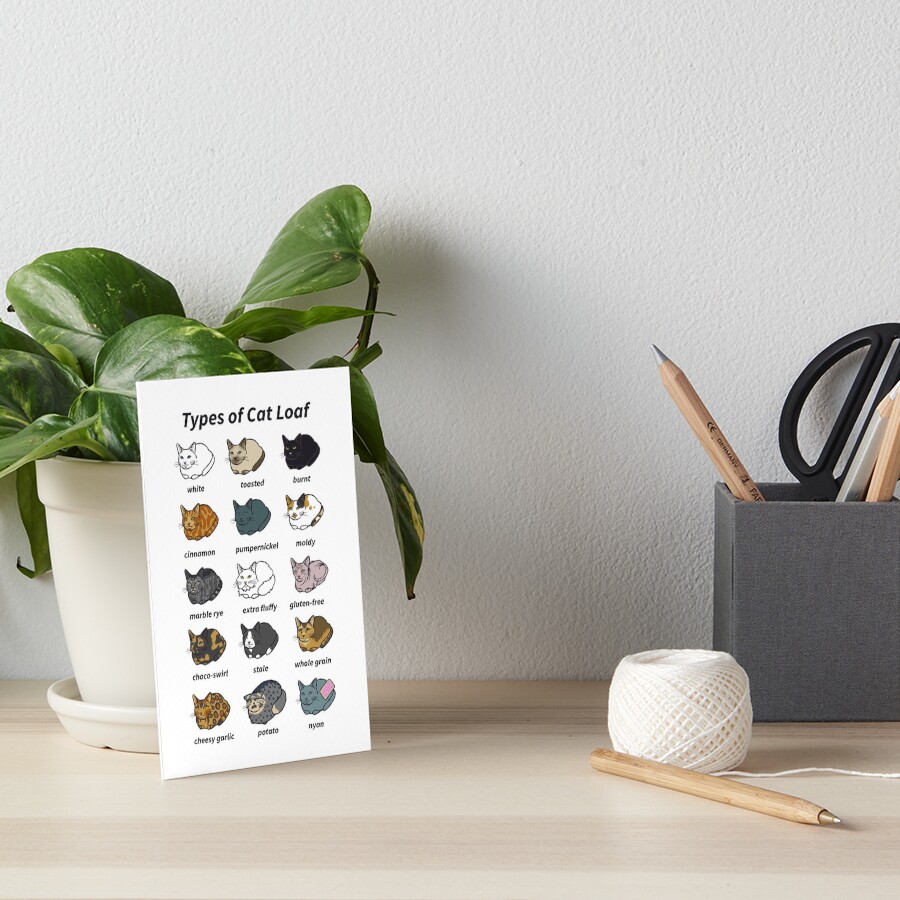 "The Types of Cat Loaf" Art Board Print for Sale by usclaireforce ...