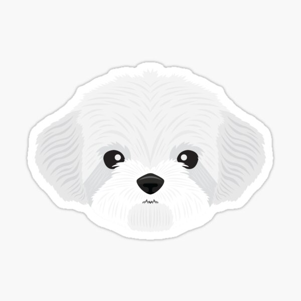 Maltese Dog Stickers | Redbubble