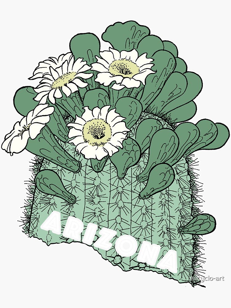 "Arizona Saguaro Cactus | Botanical State Plant | Flower Succulent ...
