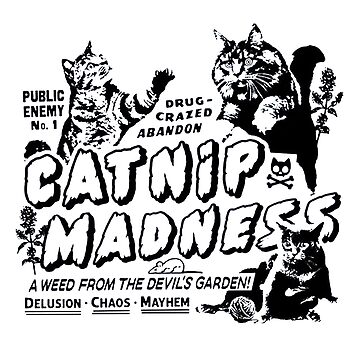 "Catnip Madness" Sticker for Sale by novelazmi | Redbubble