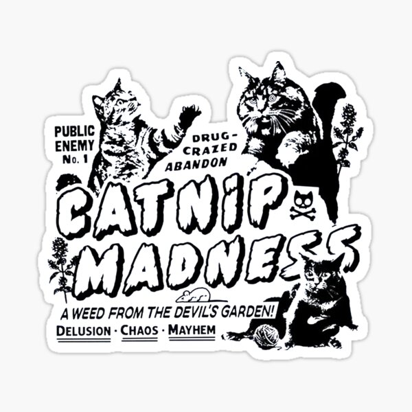 "Catnip Madness" Sticker for Sale by novelazmi | Redbubble