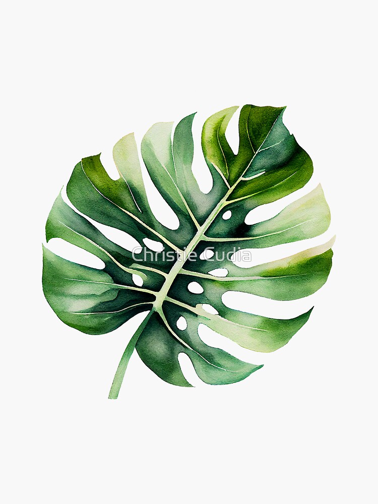 "Monstera Leaf" Sticker for Sale by christie-cudia | Redbubble