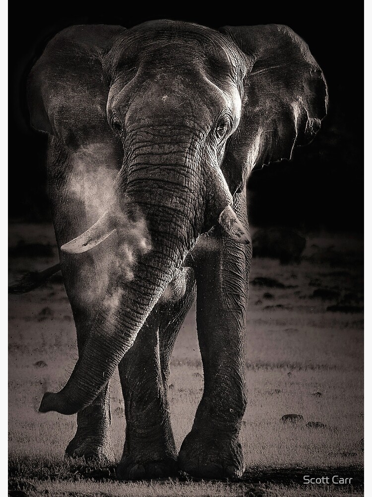 "Behemoth" Art Print for Sale by ScottCarr | Redbubble