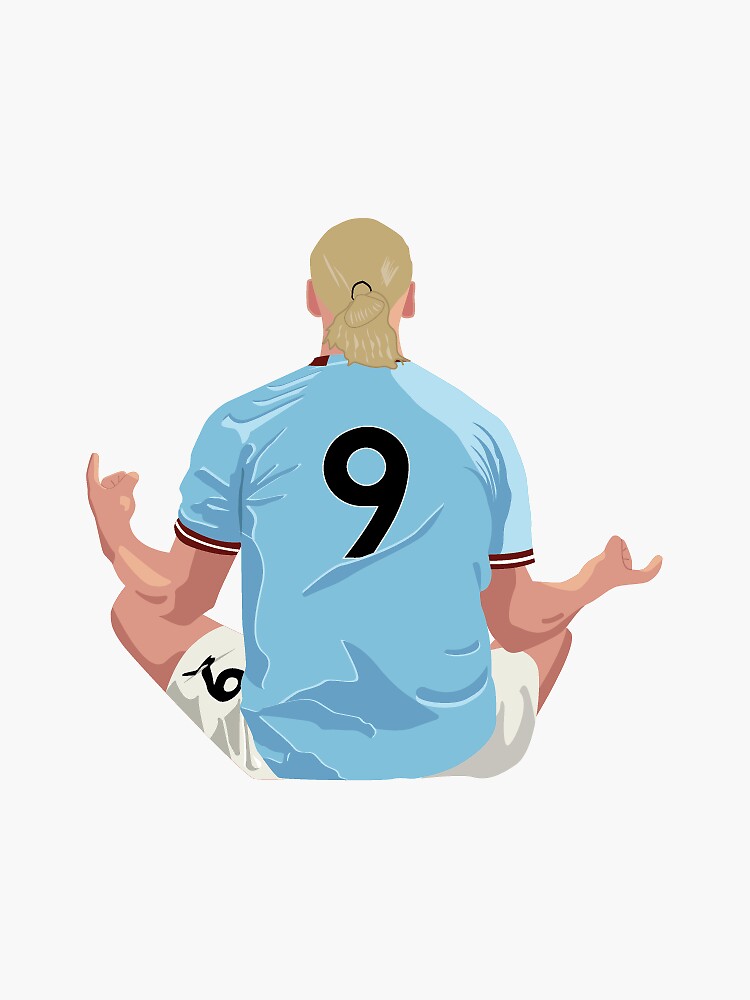 "Erling Haaland" Sticker for Sale by Abartworkss | Redbubble