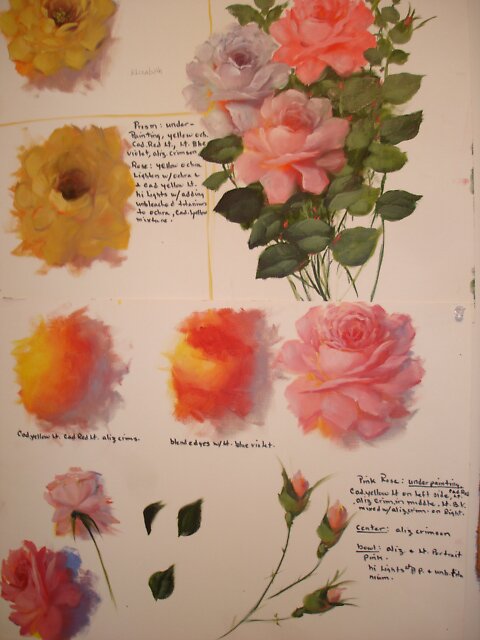 Anatomy Of A Rose By Cathy Amendola Redbubble Anatomy Of A Rose By Cathy Amendola Redbubble