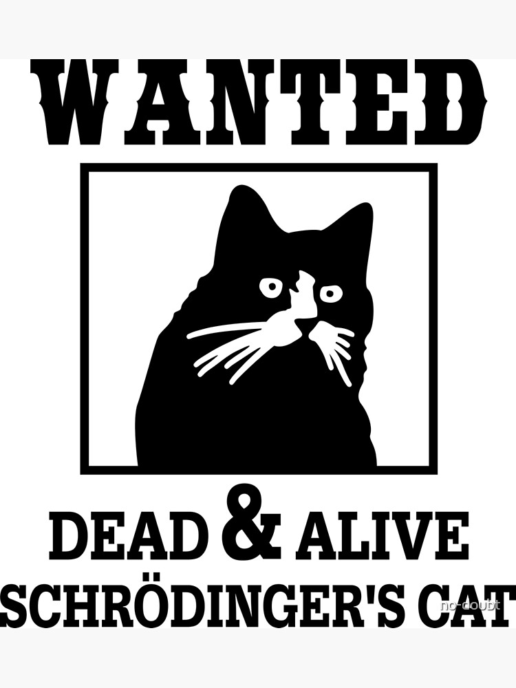 "Cat Wanted" Poster by no-doubt | Redbubble