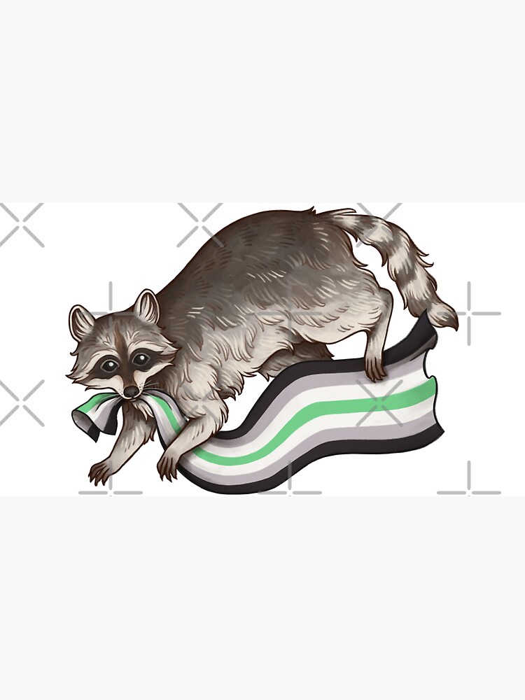 "Agender Pride Flag Stealing Raccoon Trash Panda LGBTQIA QUEER BE GAY ...