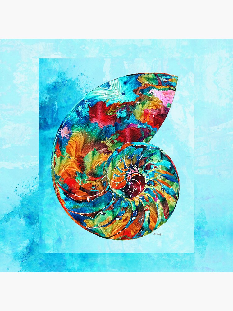 "Whimsical Colorful Nautilus Shell Seashell Beach Art" Sticker for Sale ...