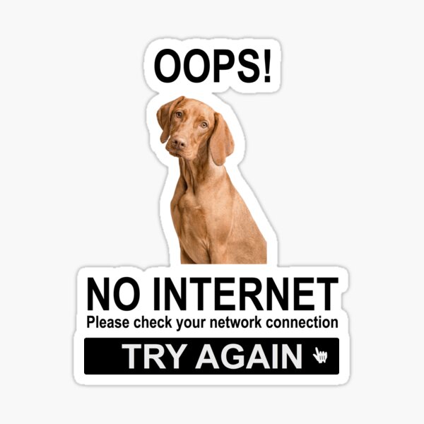 "Internet Dog Meme" Sticker for Sale by PetSafari | Redbubble