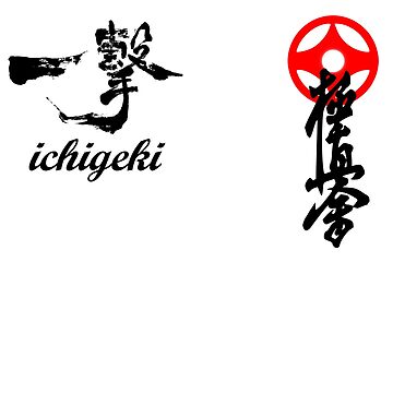 "kyokushin karate ichigeki" Sticker for Sale by lafranc | Redbubble