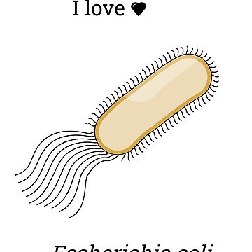 "Escherichia coli" Sticker for Sale by Witty-Biotech | Redbubble