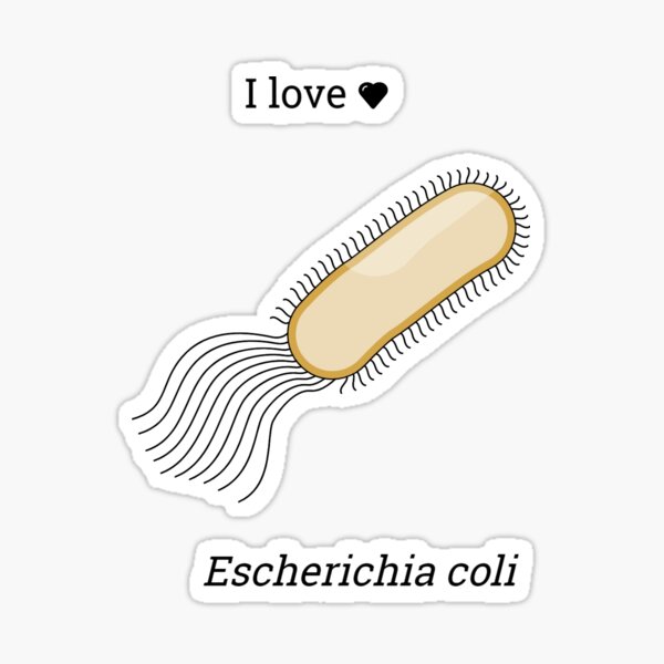 "Escherichia coli" Sticker for Sale by Witty-Biotech | Redbubble