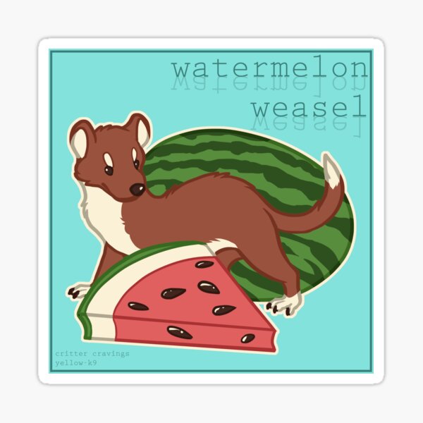 "Watermelon Weasel" Sticker for Sale by Yellow-K9 | Redbubble