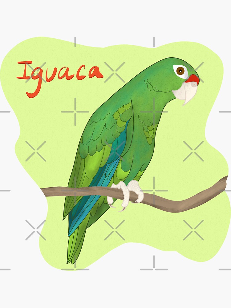 "Iguaca (Puerto Rican Parrot) " Sticker for Sale by Artillana | Redbubble
