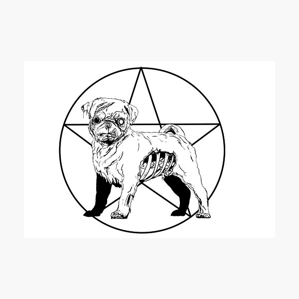 Evil Pug Photographic Prints | Redbubble