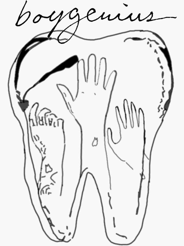 "boygenius" Sticker for Sale by mraedesignz | Redbubble