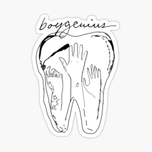 "boygenius" Sticker for Sale by mraedesignz | Redbubble