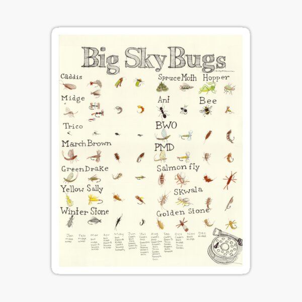 "Big Sky Bugs" Sticker for Sale by boberweiser | Redbubble