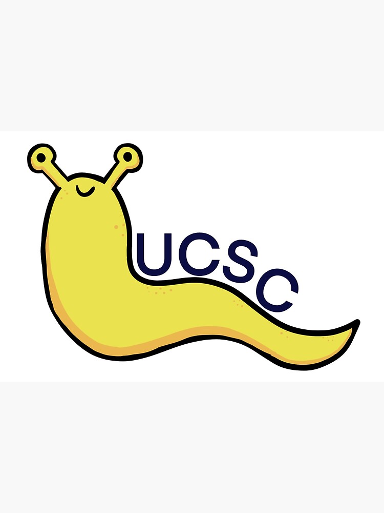 "UCSC Banana Slug" Sticker for Sale by chickie- | Redbubble