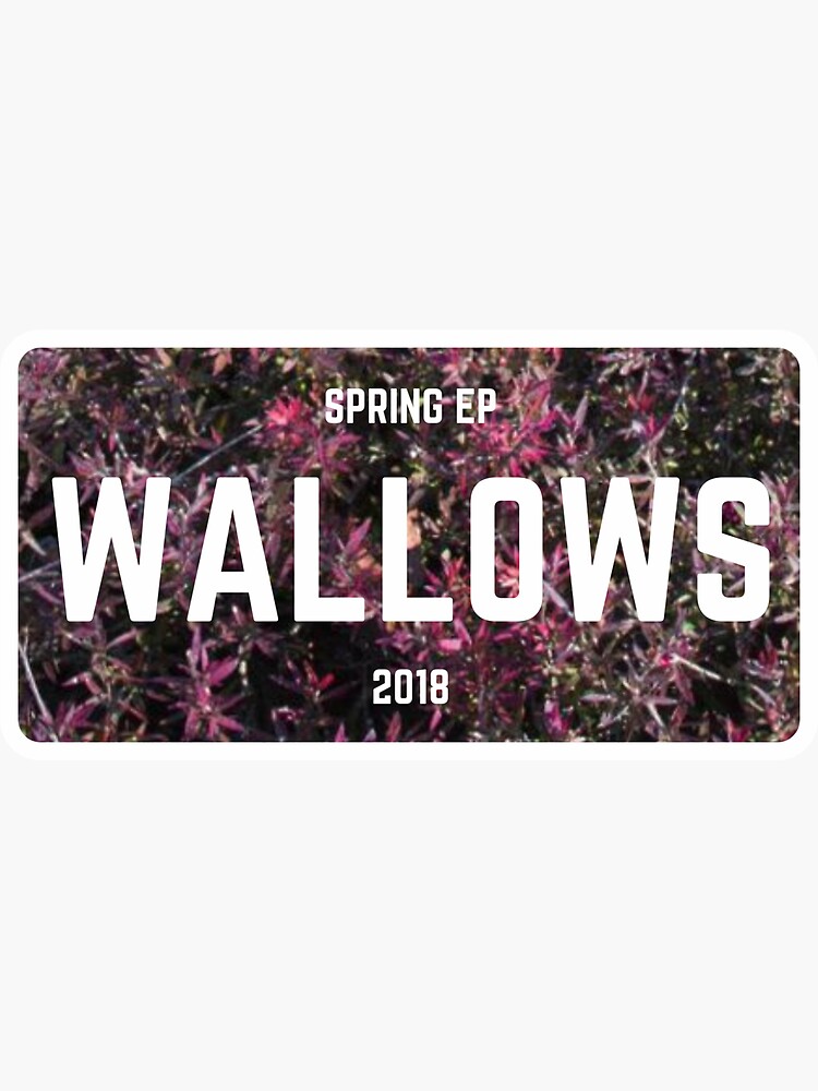 "Wallows Spring EP License Plate" Sticker for Sale by HeinzArt | Redbubble