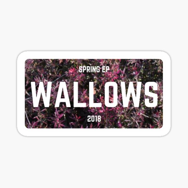 "Wallows Spring EP License Plate" Sticker for Sale by HeinzArt | Redbubble