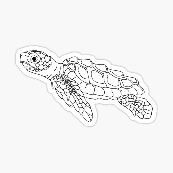 "Turtle outline" Sticker for Sale by MinimalLine | Redbubble