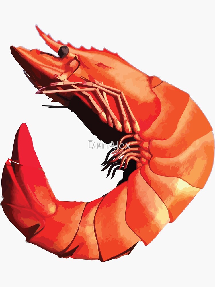 "The Big Prawn" Sticker for Sale by DenAlex | Redbubble