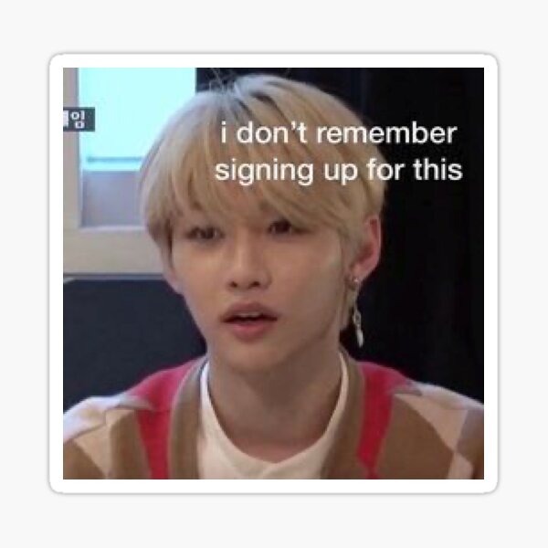 "Stray Kids memes lee felix I don't remember signing up for this skz ...