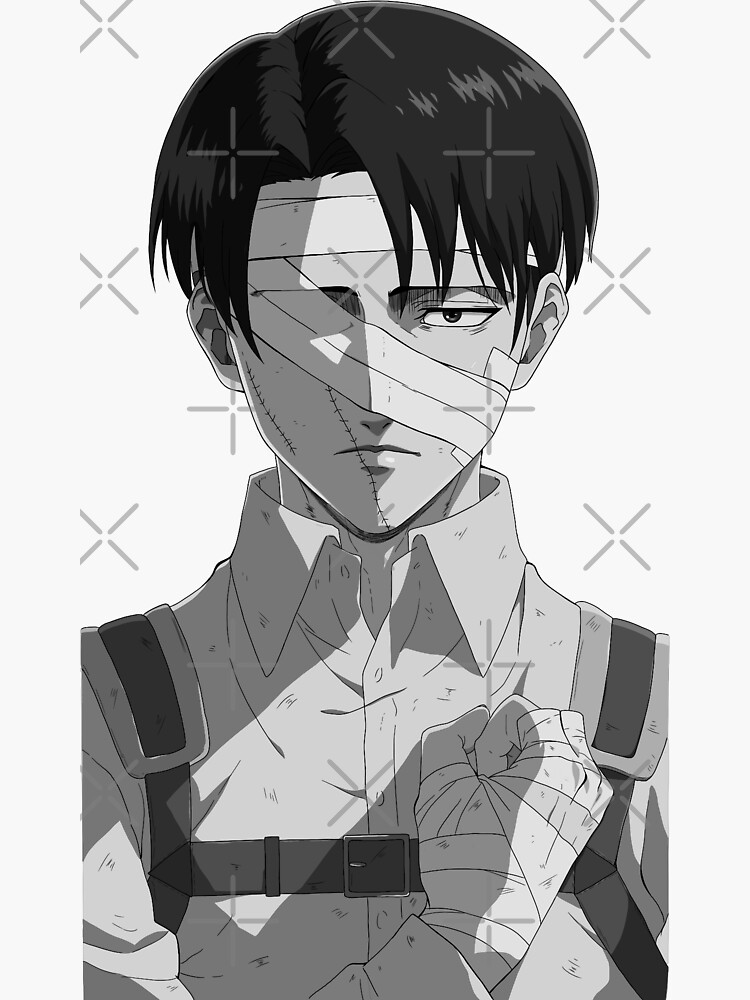 "Levi " Sticker for Sale by Boo1738 | Redbubble