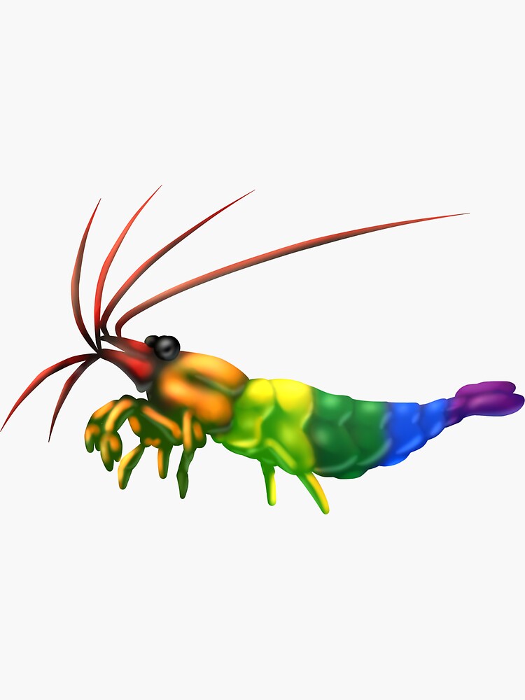 "Pride Rainbow Shrimp" Sticker for Sale by Jeenakatarox | Redbubble