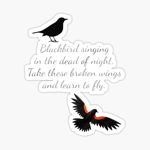 "Blackbird singing in the dead of night" Sticker for Sale by ...