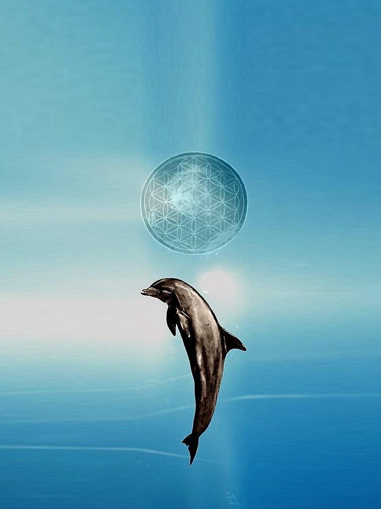 "DOLPHIN - ZEN version" Sleeveless Top for Sale by ARTito | Redbubble