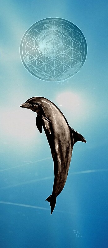 "DOLPHIN - ZEN version" by ARTito | Redbubble