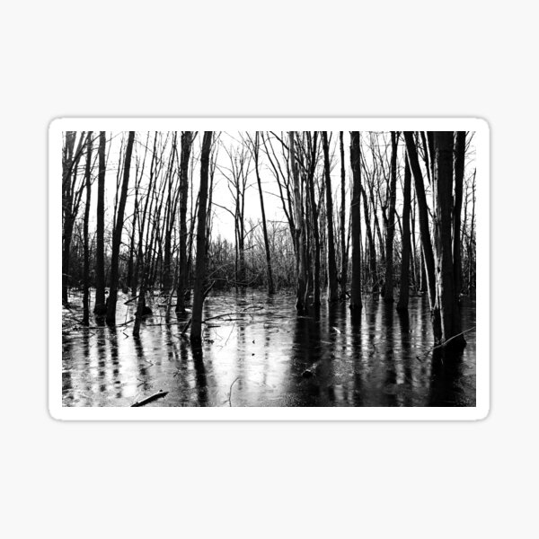 "Thin Ice Black And White" Sticker for Sale by debop | Redbubble