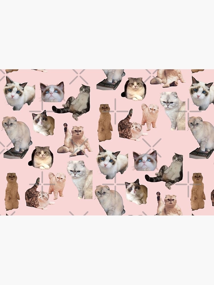 "taylor swift cats sticker pack!" Jigsaw Puzzle for Sale by ...